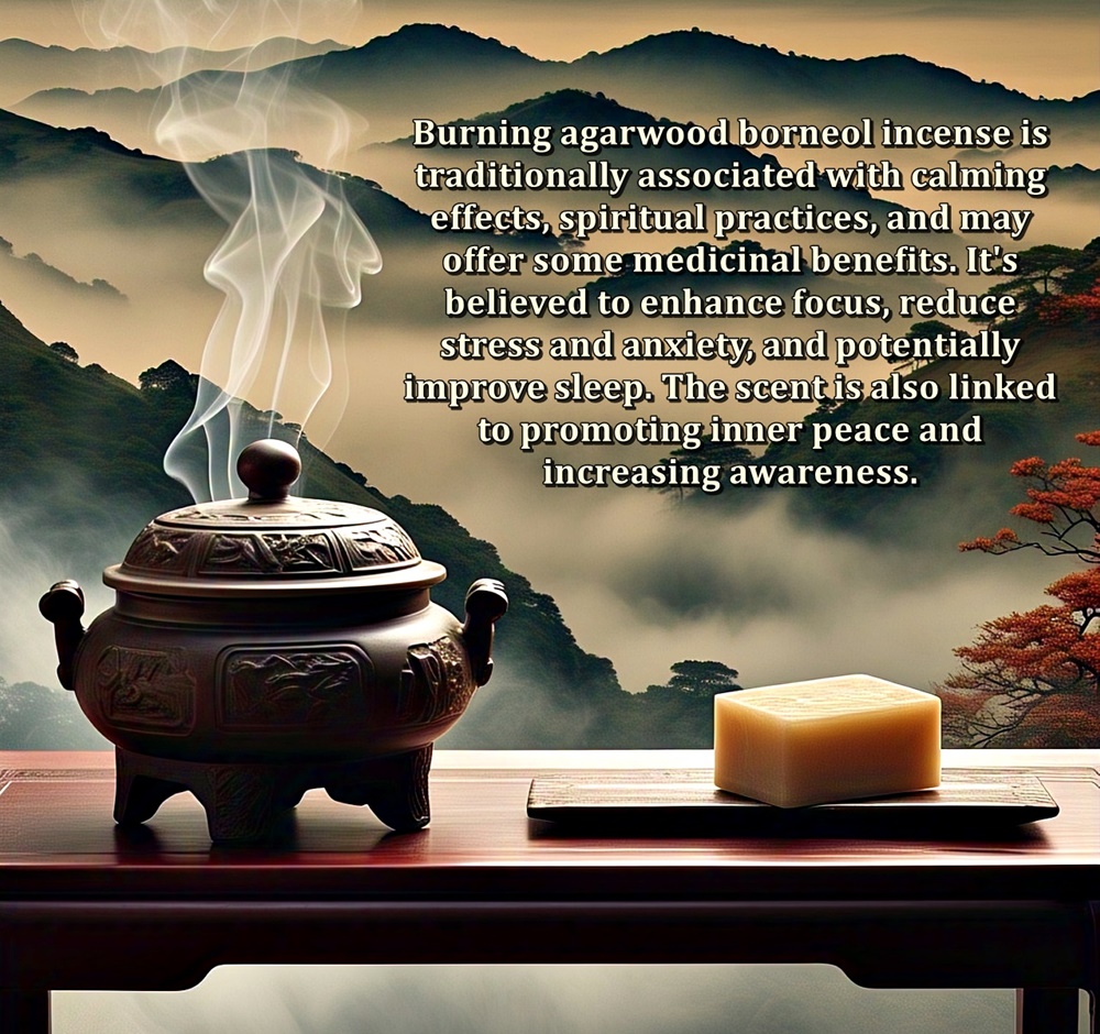(SG Local Seller) Natural Agarwood Borneol Incense Powder 200g (七星檀香 ...