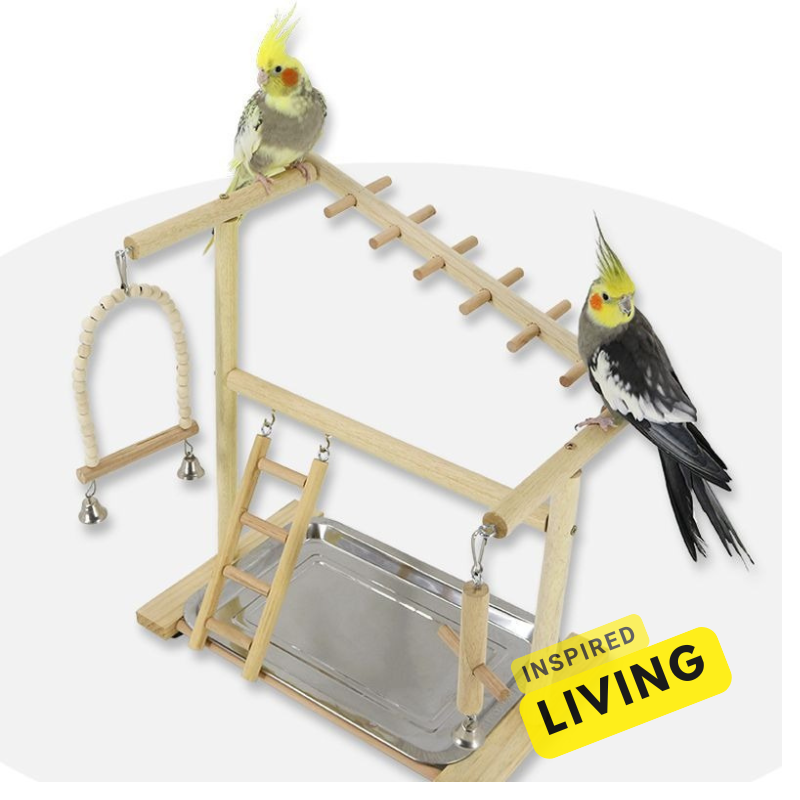 Bird Toy | Parrot Toy -Medium Parrot Play Stand with Cup Toys Tray Bird ...