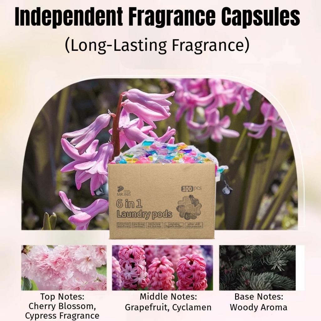 MR.ING 6 in 1 Laundry Pods Detergent Capsule Anti-bacterial [100 pods ...