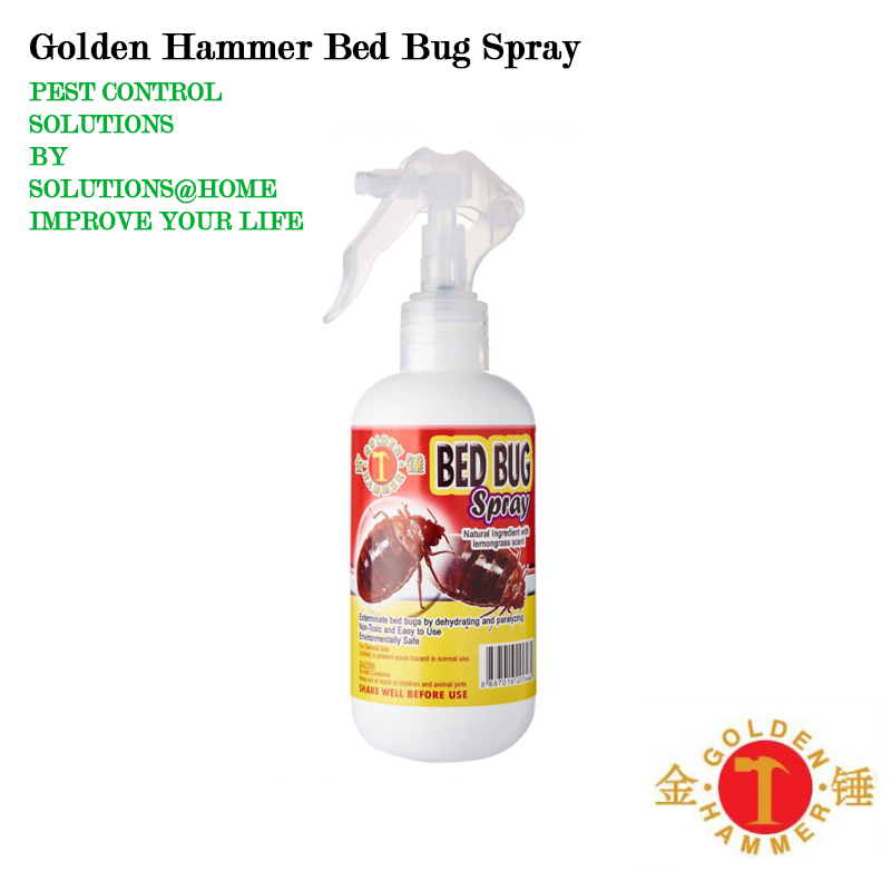 BedBug Spray [Golden Hammer Bed Bug Spray] 250ML | Shopee Singapore