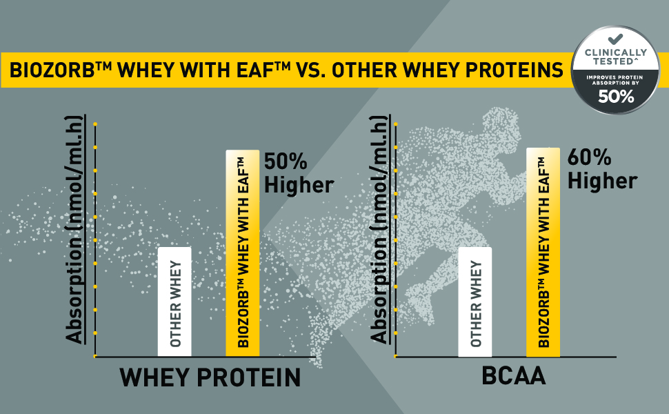 MuscleBlaze Biozorb Iso-Zero, Low Carb (Ice Cream Chocolate, 5lbs / 2 ...