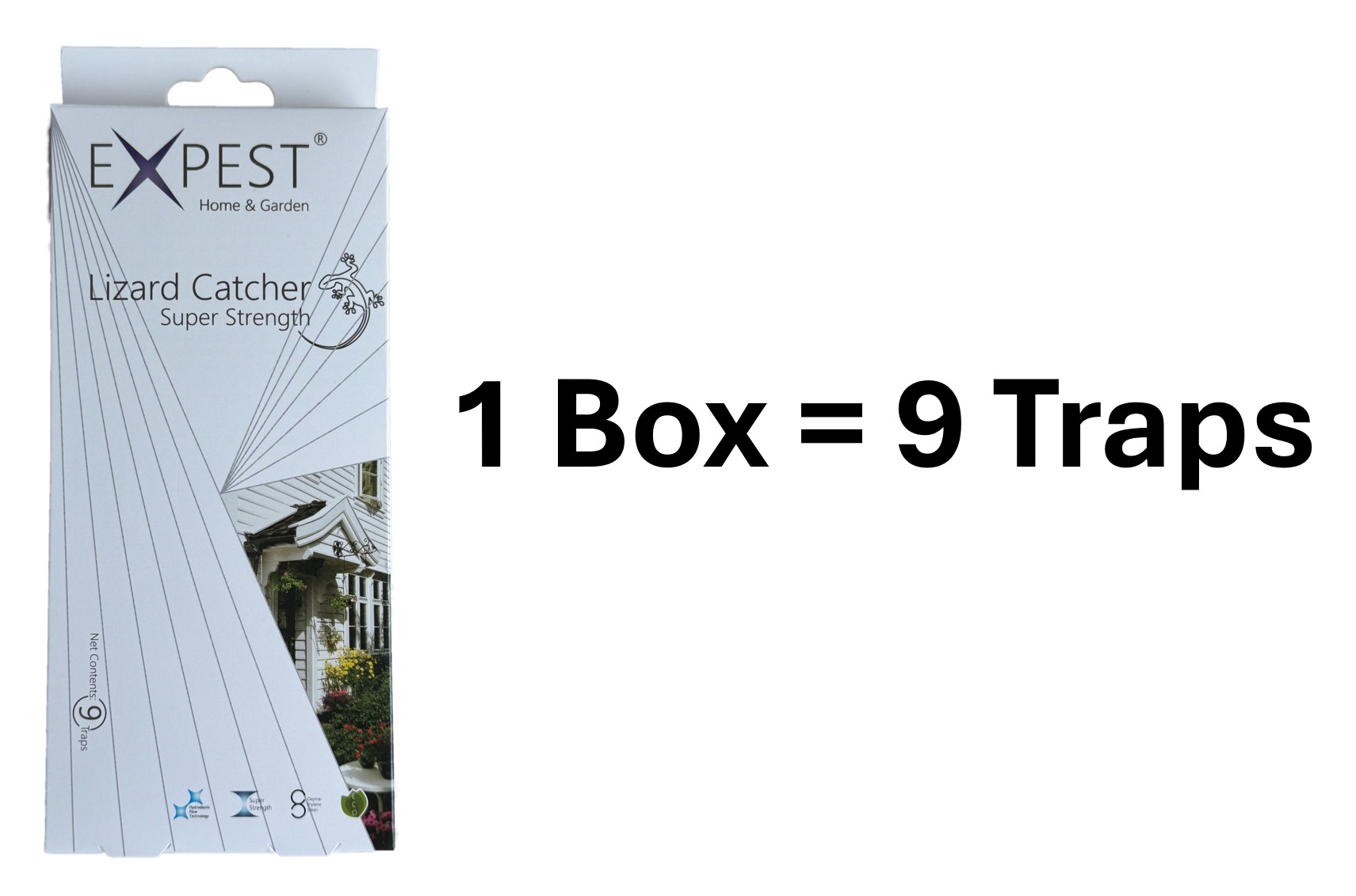 Lizard Trap ️ Lizard Glue Trap ️ 抓壁虎 ️ Gecko Trap ️ Expest Lizard Trap ...