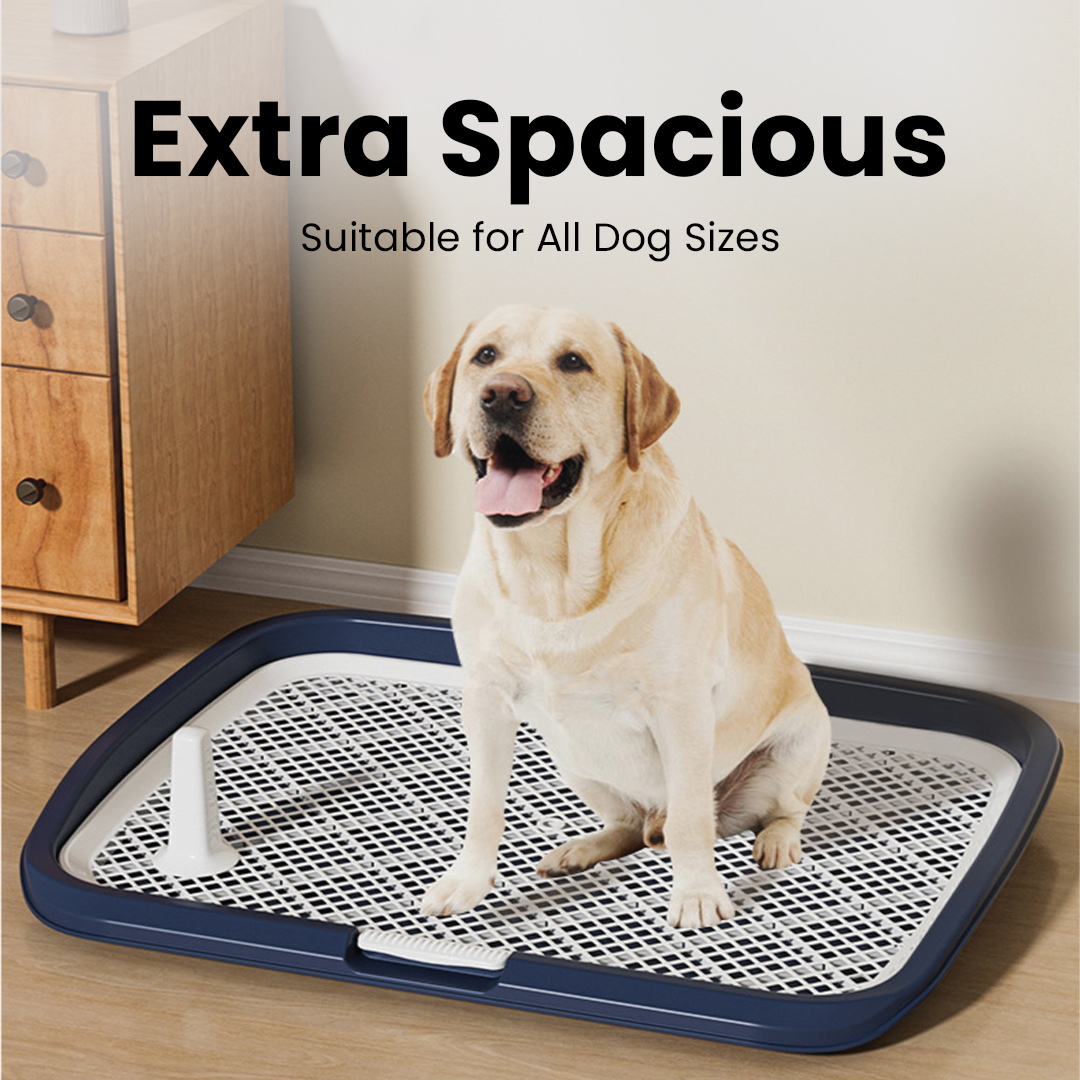 [SG] Extra Large size dog pee tray litter pan spacious toilet tray with ...