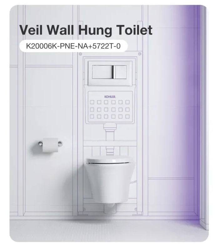 [DBS] Kohler Veil Wall-Hung Rimless Toilet with Inwall Flush Plate ...