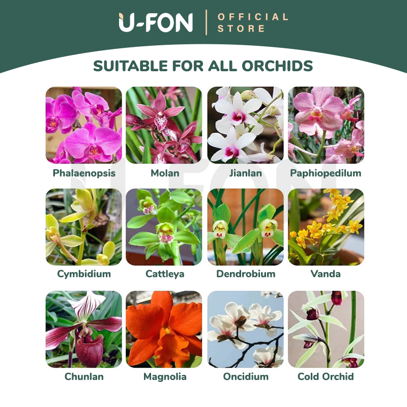 Orchid Special Nutrient Solution Orchid Fertilizer baja orchid Liquid ...