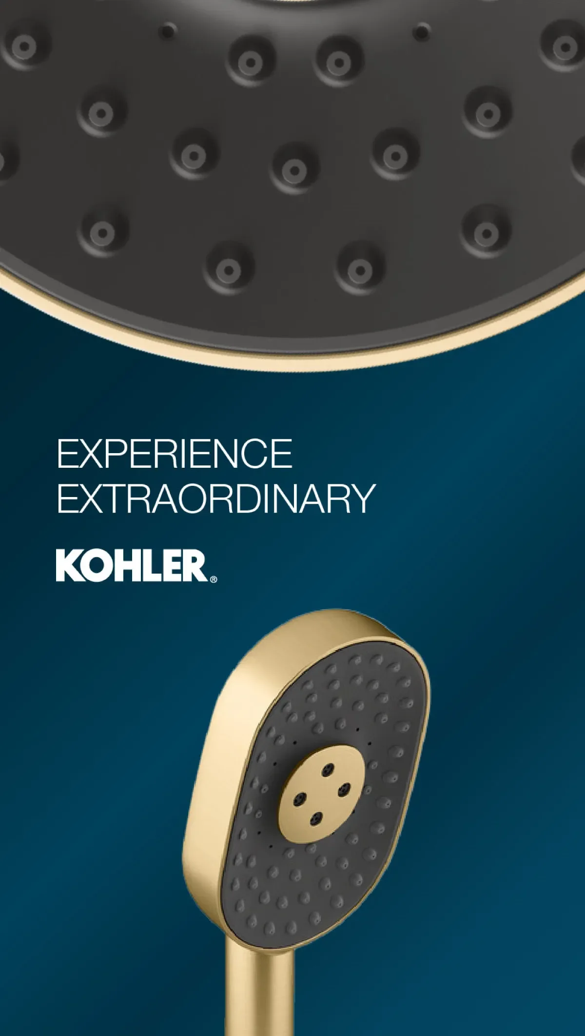 KOHLER Statement Oblong Multifunction Handshower, Polished Chrome K ...