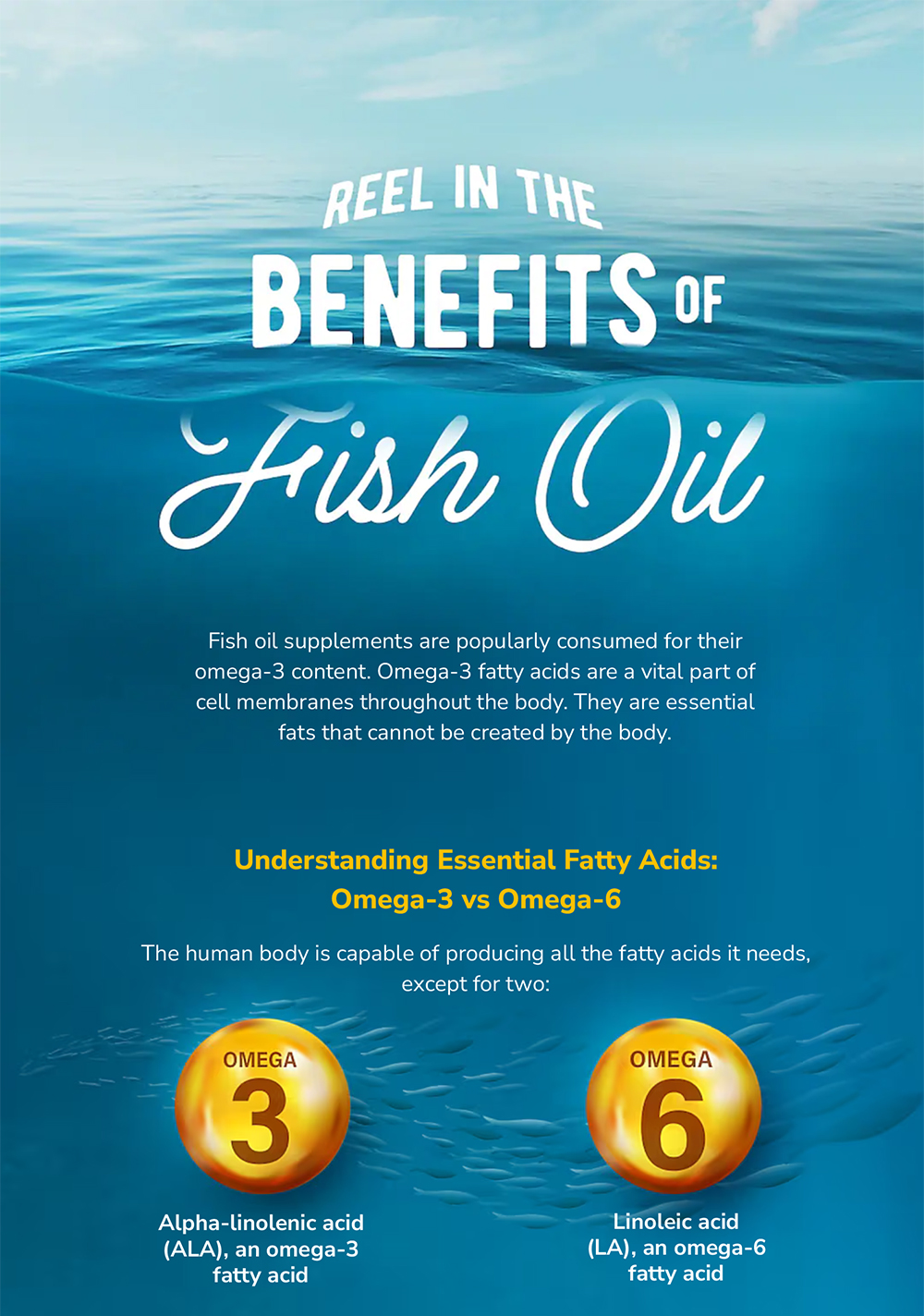 [LAC OMEGAS & FISH OIL] Fish Body Oil 1000mg (180 softgels) | Shopee ...