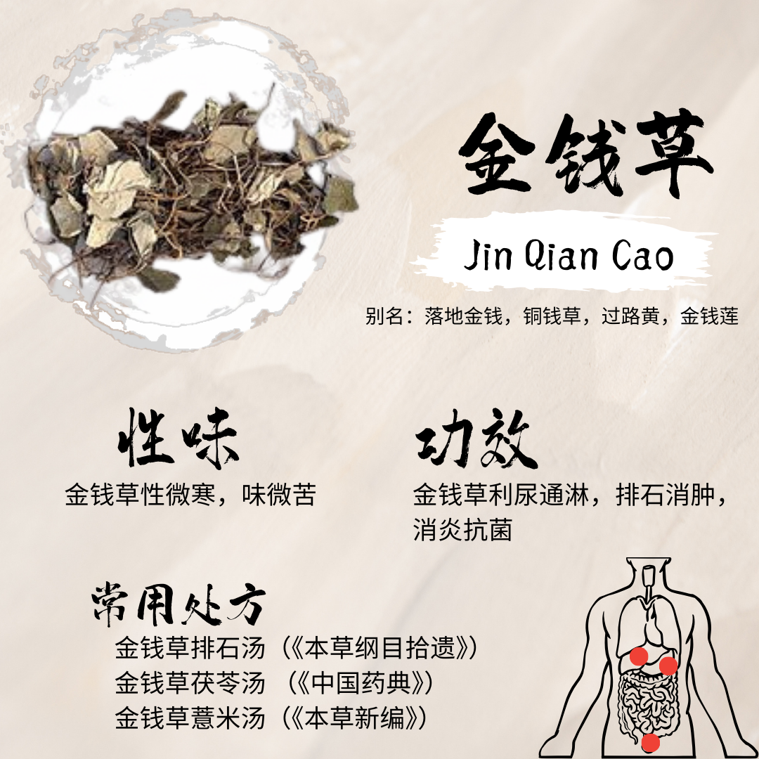 【TIEN SUNG】Jin Qian Cao 金钱草 100g | Shopee Singapore