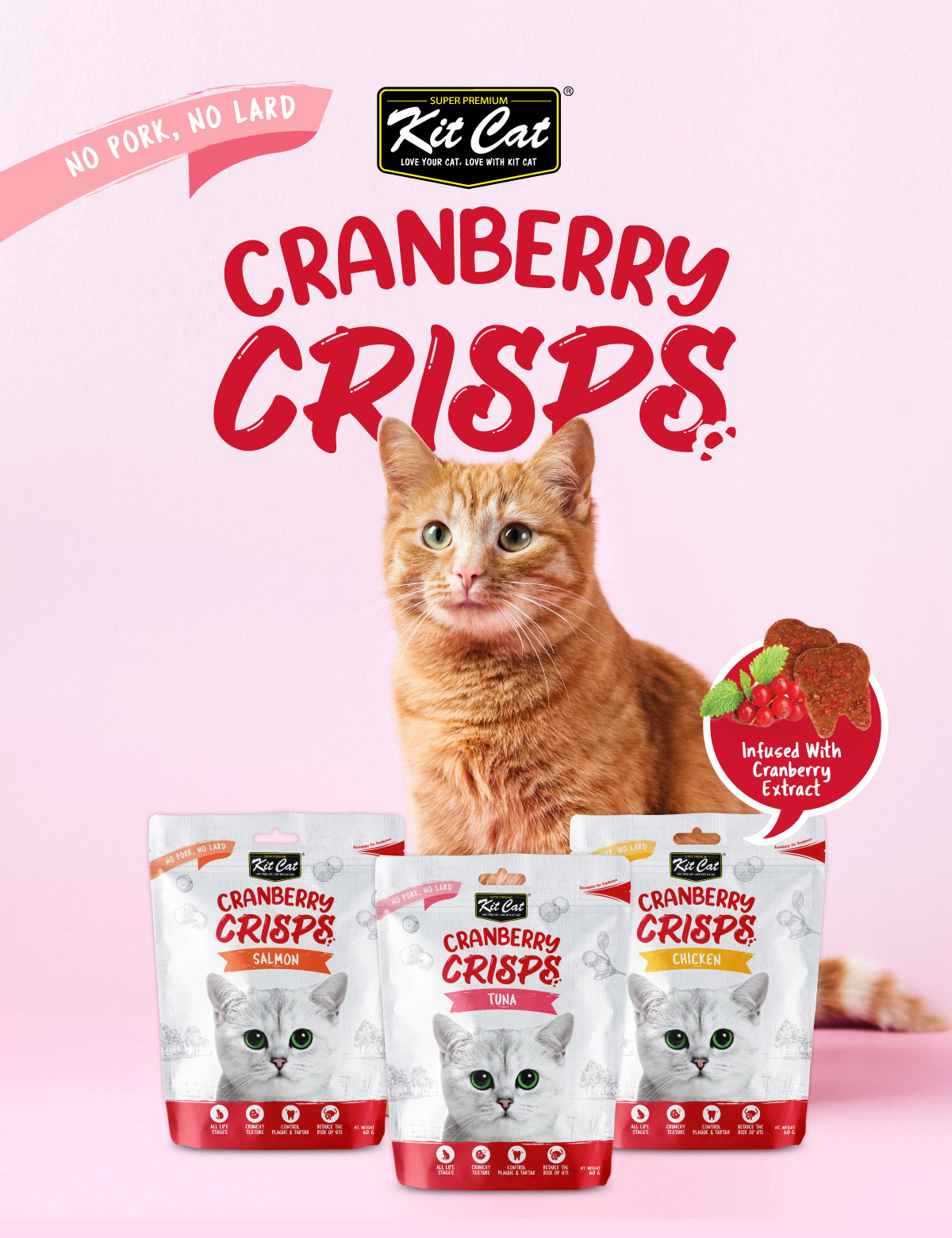Kit Cat Cranberry Crisps/Freeze Bites/Breath Bites/Kitty Crunch/Yogurt ...