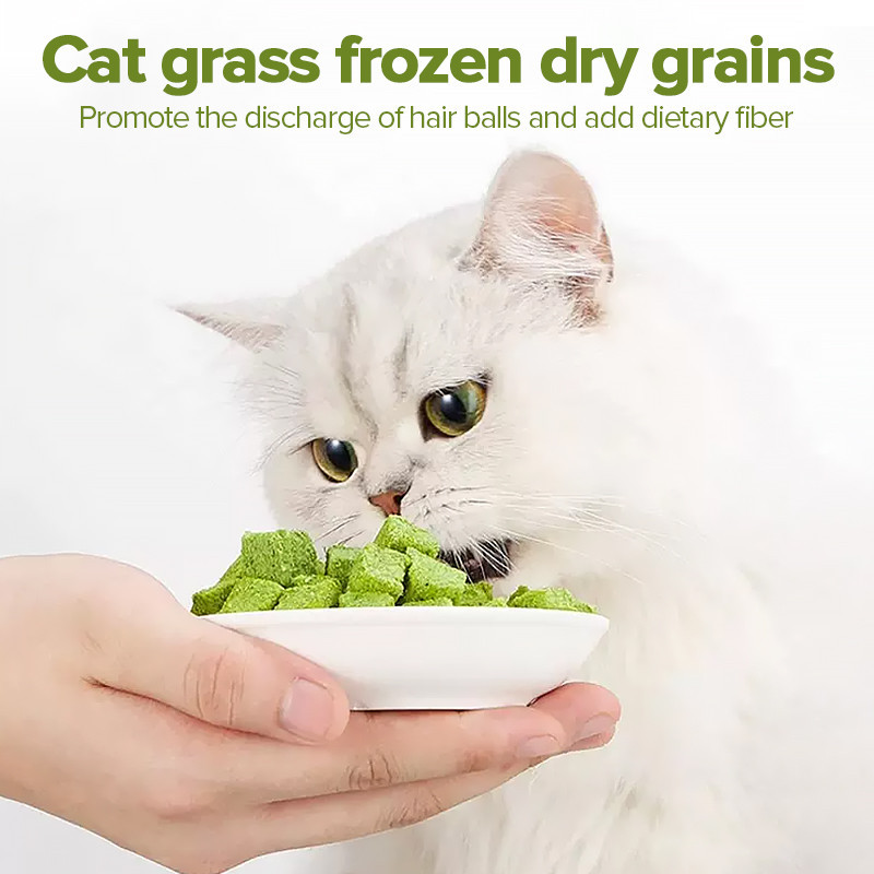 【SG Stock】Cat Grass Freeze Dried Granules Snack Cat Food Granules ...