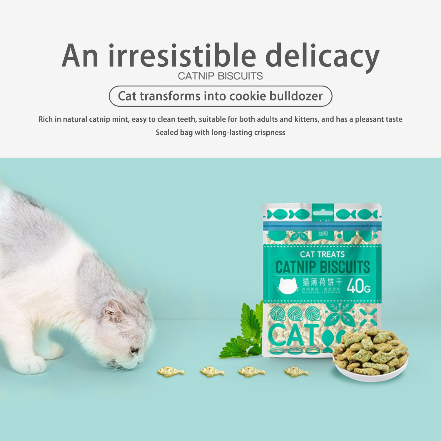 (Pet Time) Catnip Snack Cookies Catnip Biscuits Promote Digestion ...