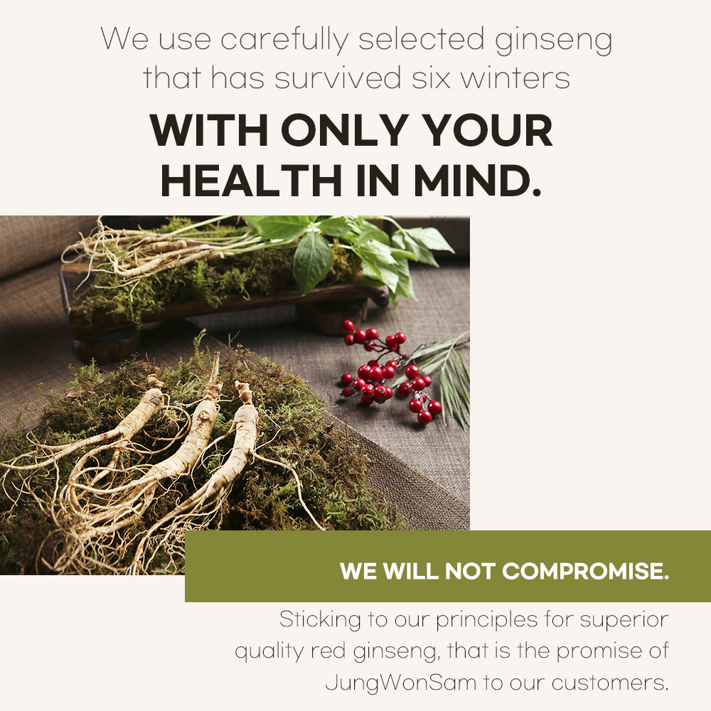 JUNGWONSAM Korean 6 Years Red Ginseng Extract Stick (10gX100sticks ...