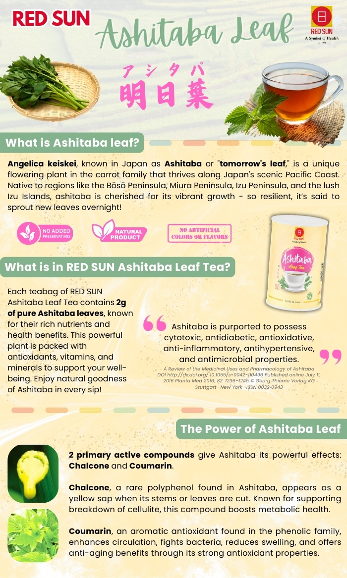 RED SUN Japan Ashitaba Leaf Tea [2 for $9] | 10 Teabags/Container | Shopee Singapore