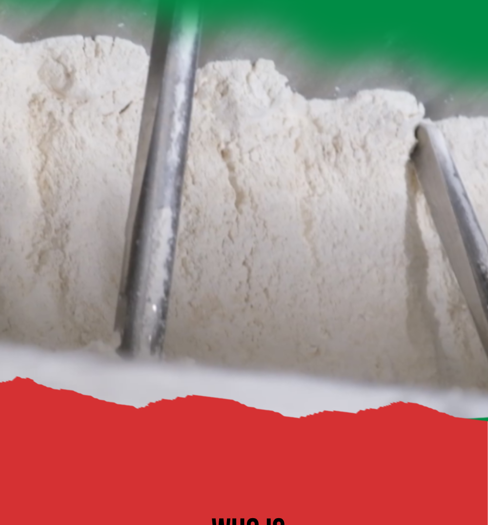 Twirlee Fresh Pasta Mafalde/Campanelle (Freshly made with flour from ...