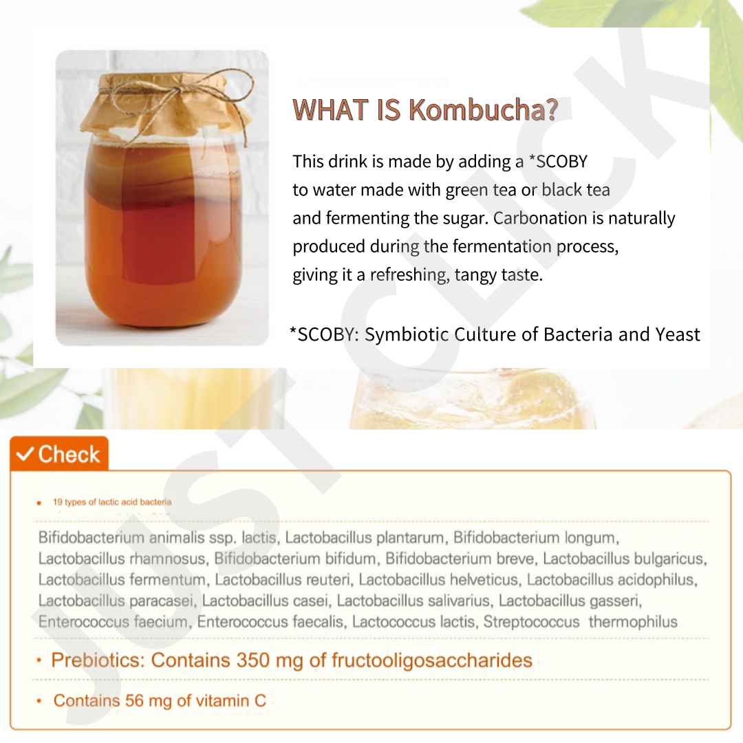 [Damtuh] Kombucha Limited Edition Pokemon Kombucha Tea - Lemon/Apple ...
