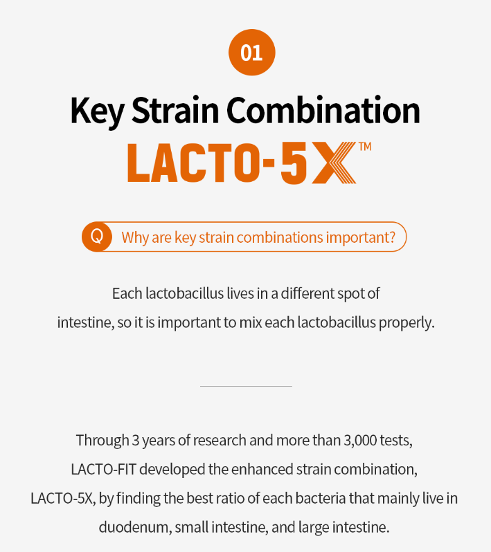 LACTO-FIT Gold, Probiotics from Korea (2g x 50sticks), HALAL Certified ...