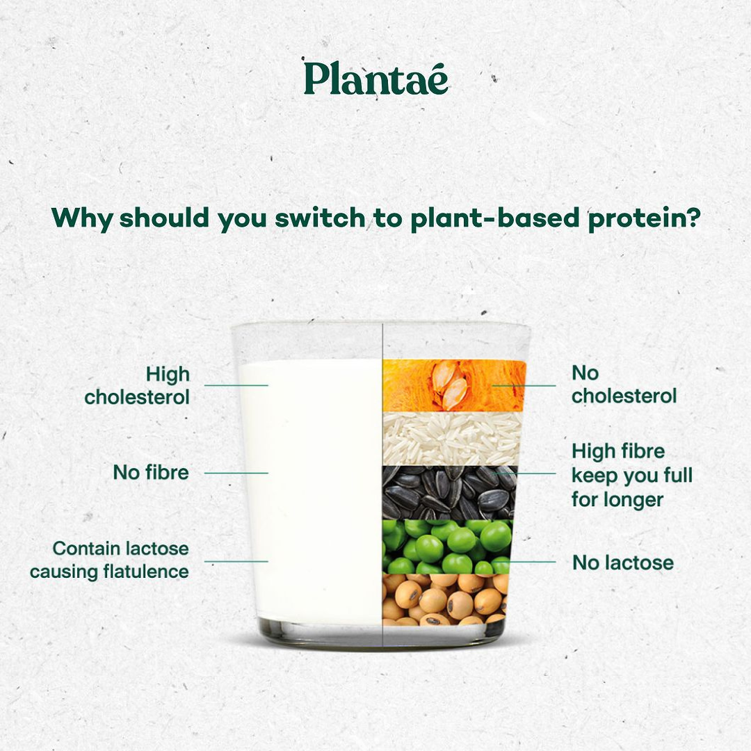 Plantae Complete Plant Protein Powder with Active BCAAs and Essential ...