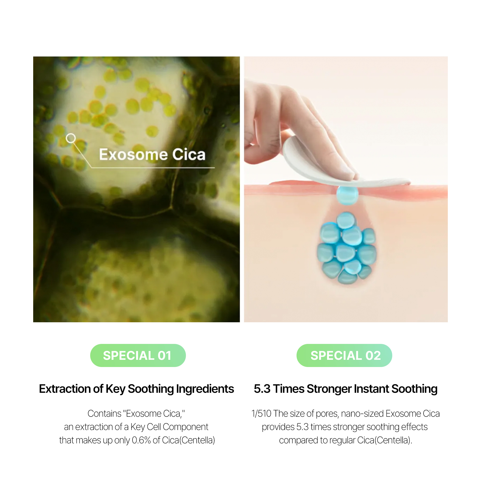 [medicube Official] Exosome CICA Tea Tree Calming Toner Pads for ...