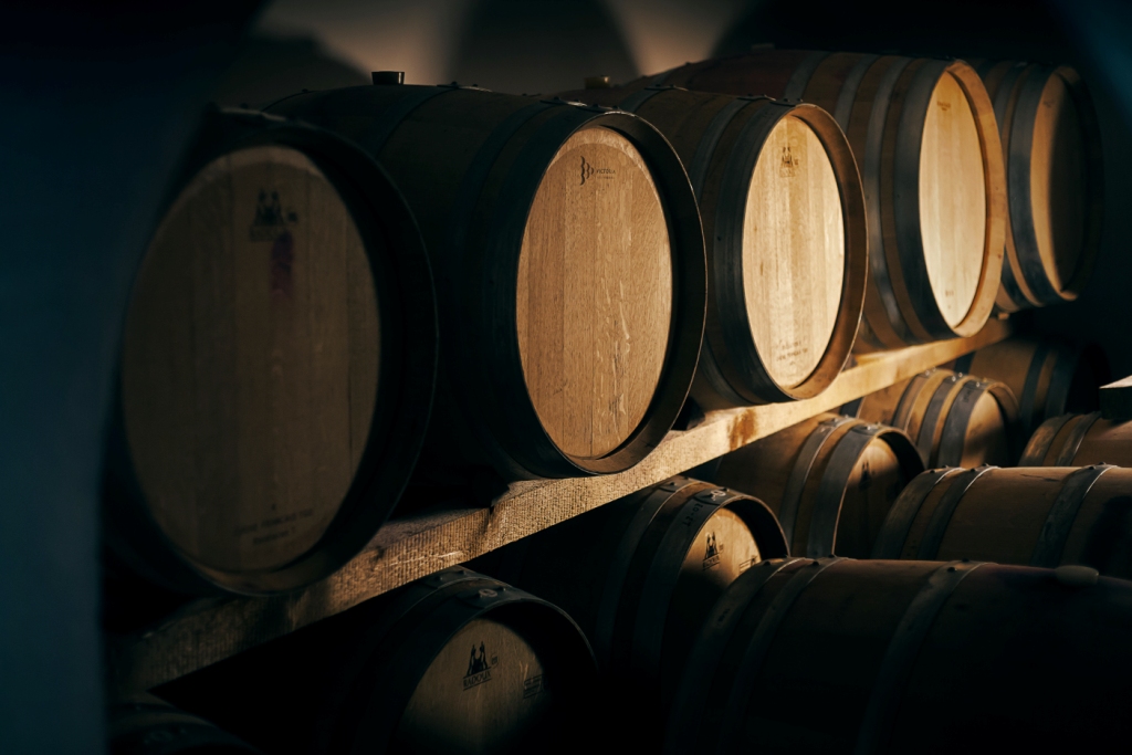 PHILOSOPHER | Deep red wine from Ikaria, the longevity Greek island, 14 ...