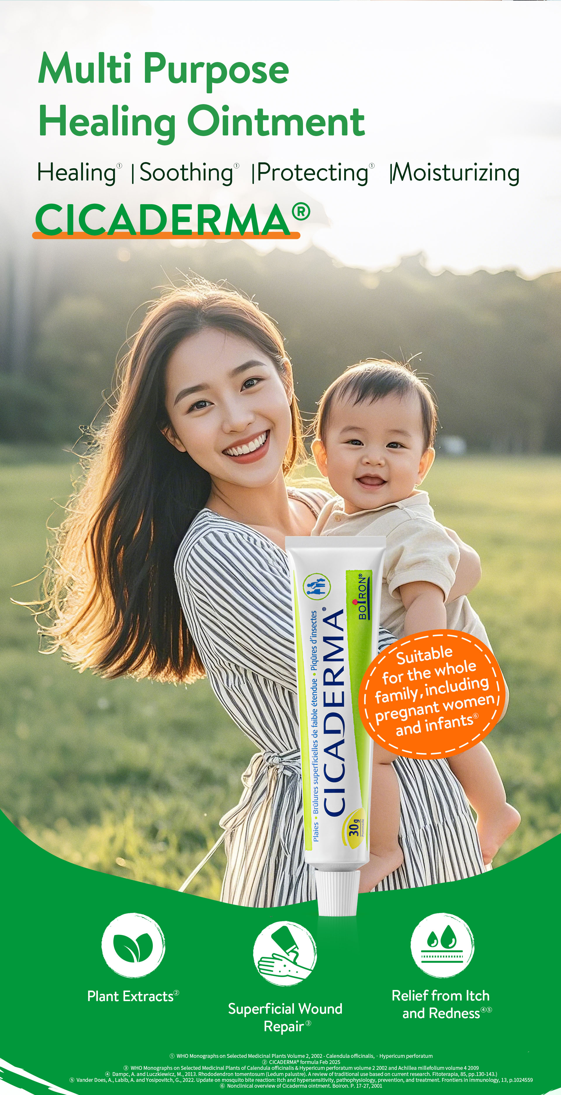 Boiron Cicaderma -Multipurpose Antiseptic Wound Healing Ointment with ...