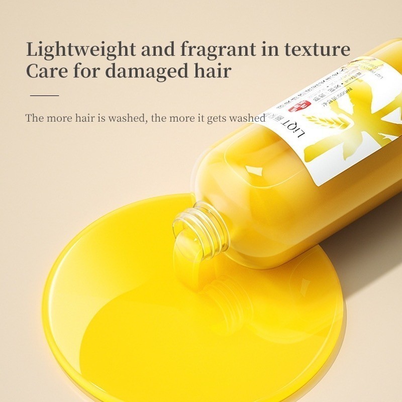 (FOREVER PREMIUM) 500ML Ginger Shampoo Boosts Hair Growth, Controls Oil ...