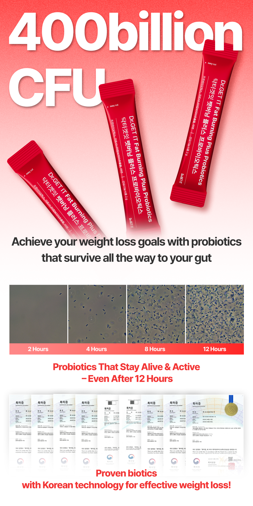 Dr GET IT Fat Burning Plus Probiotics 400 Billion CFU Synbiotics with ...