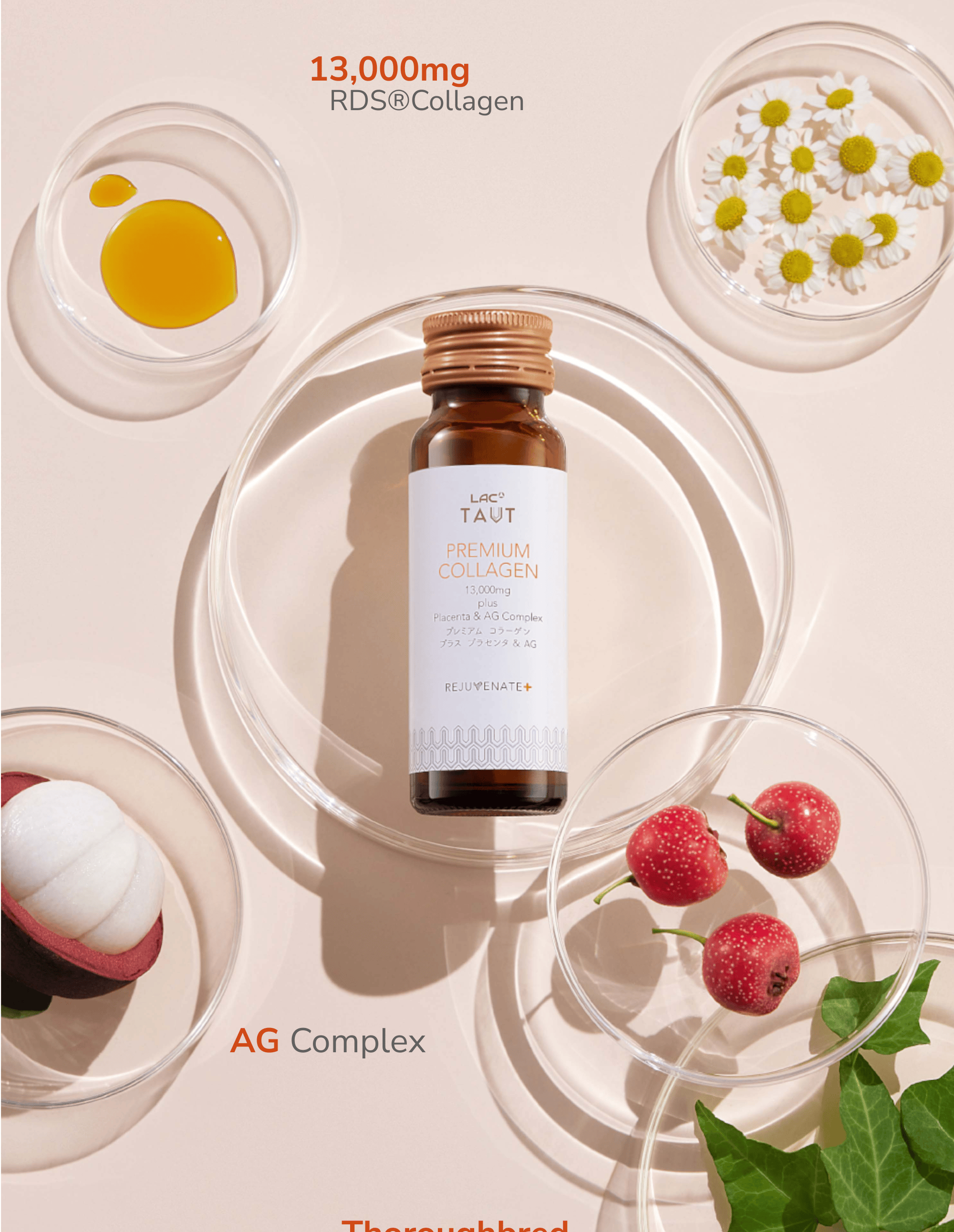 [LAC TAUT] Rejuvenate+ Premium Collagen 13,000mg Plus Placenta & AG ...