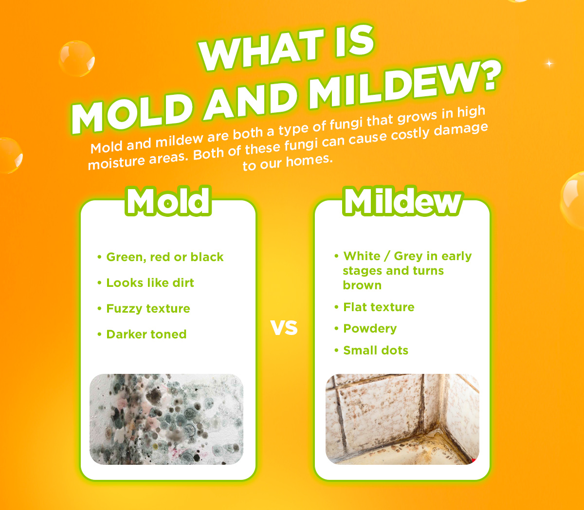 Mr. Muscle Mold & Mildew Cleaner/ Killer (500ml) | Shopee Singapore