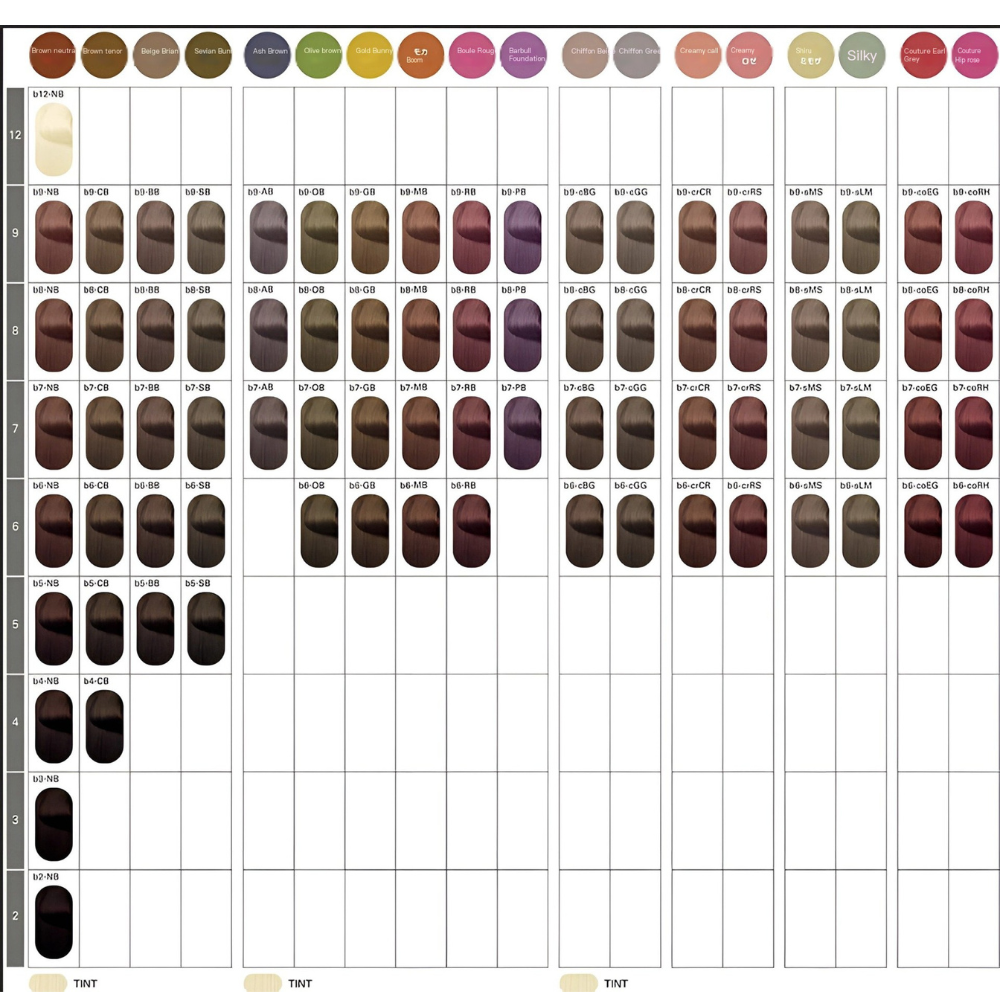 MILBON ORDEVE Beaute Gray Hair Colour | Shopee Singapore