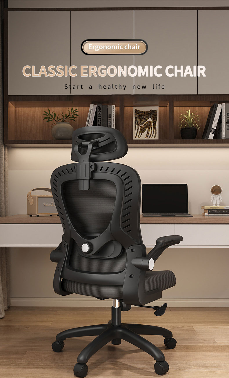(HOME+) High-back Ergonomic office Chair Computer Chair Home Study ...
