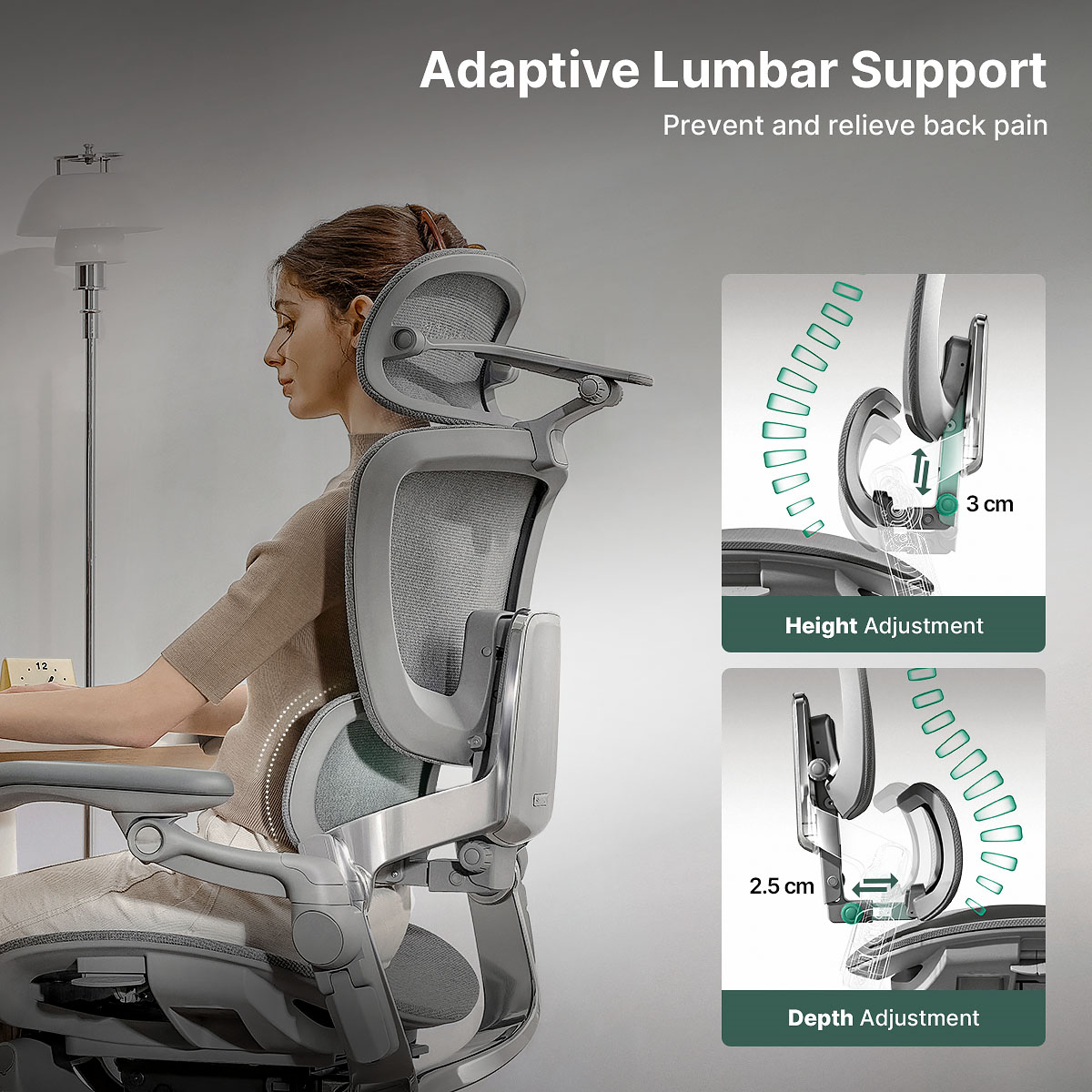 Hinomi H2 Pro Ergonomic Chair with Adjustable Backrest and Seat, Home Office Chair with Lumbar ...