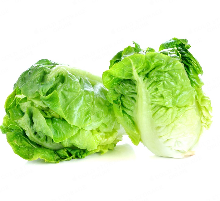 200 Mini Romaine Lettuce Seeds for Home Garden | 生菜旦种子 | Shopee Singapore