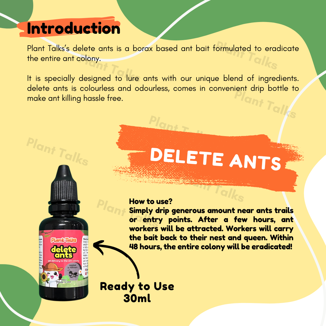 Plant Talks Delete Ants Gel Ant Bait Killer Poison Pest Control ...