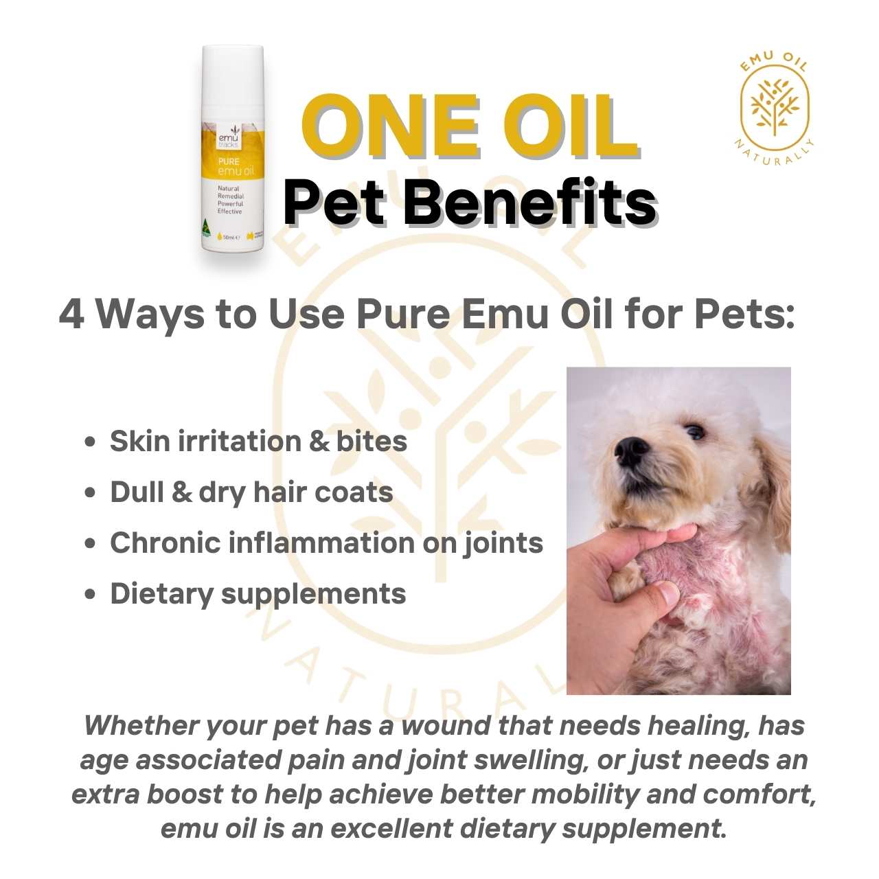 Emu Tracks Pure Emu Oil AUS -50/100/250ml. Relieve Eczema, Dry Itchy ...