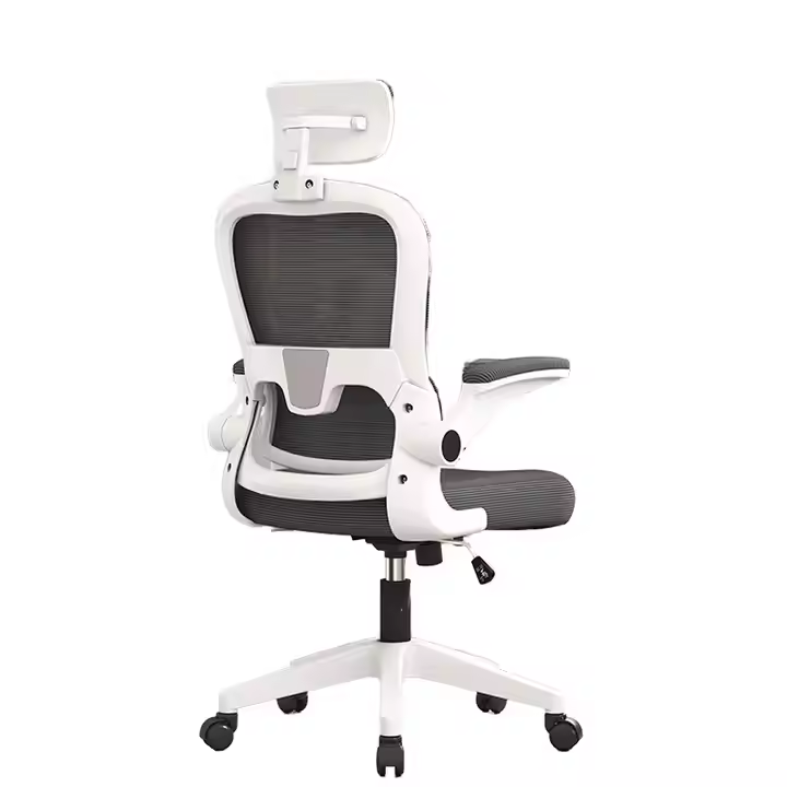 BIC ERGO Series Ergonomic Home Office Chair | Shopee Singapore