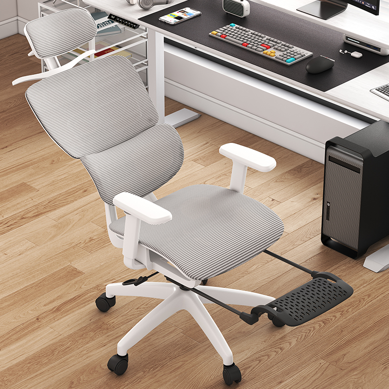 BIC ERGO Series Ergonomic Home Office Chair | Shopee Singapore