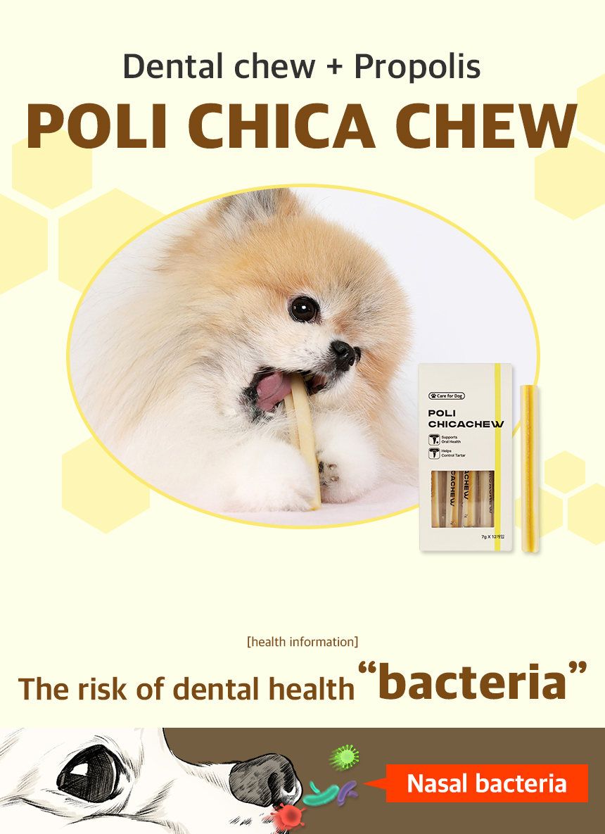 [Doctor By POLI DENTAL CHEW] Dog Dental Chew Gum bad breath Toothpaste ...