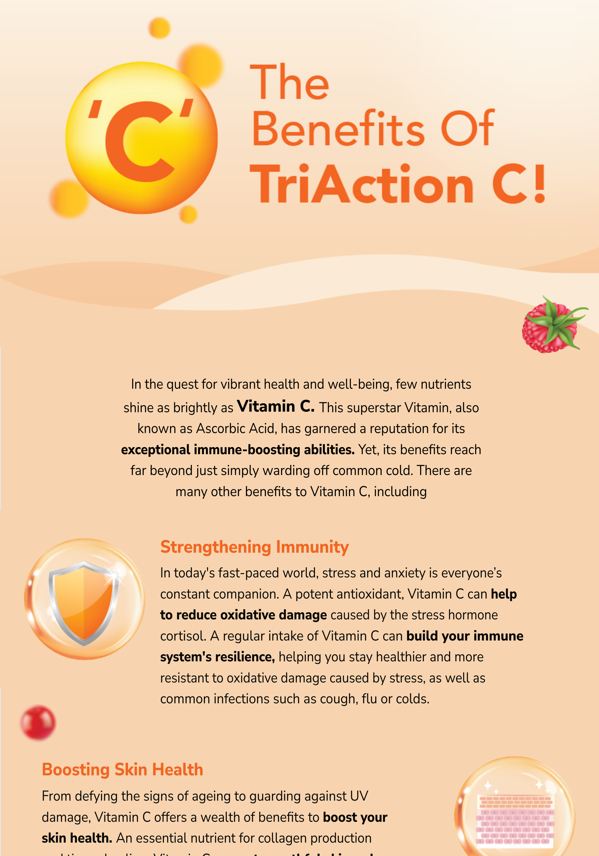[LAC TRIACTION C] TriAction C 500 - Timed-Release (90 caplets) | Shopee ...