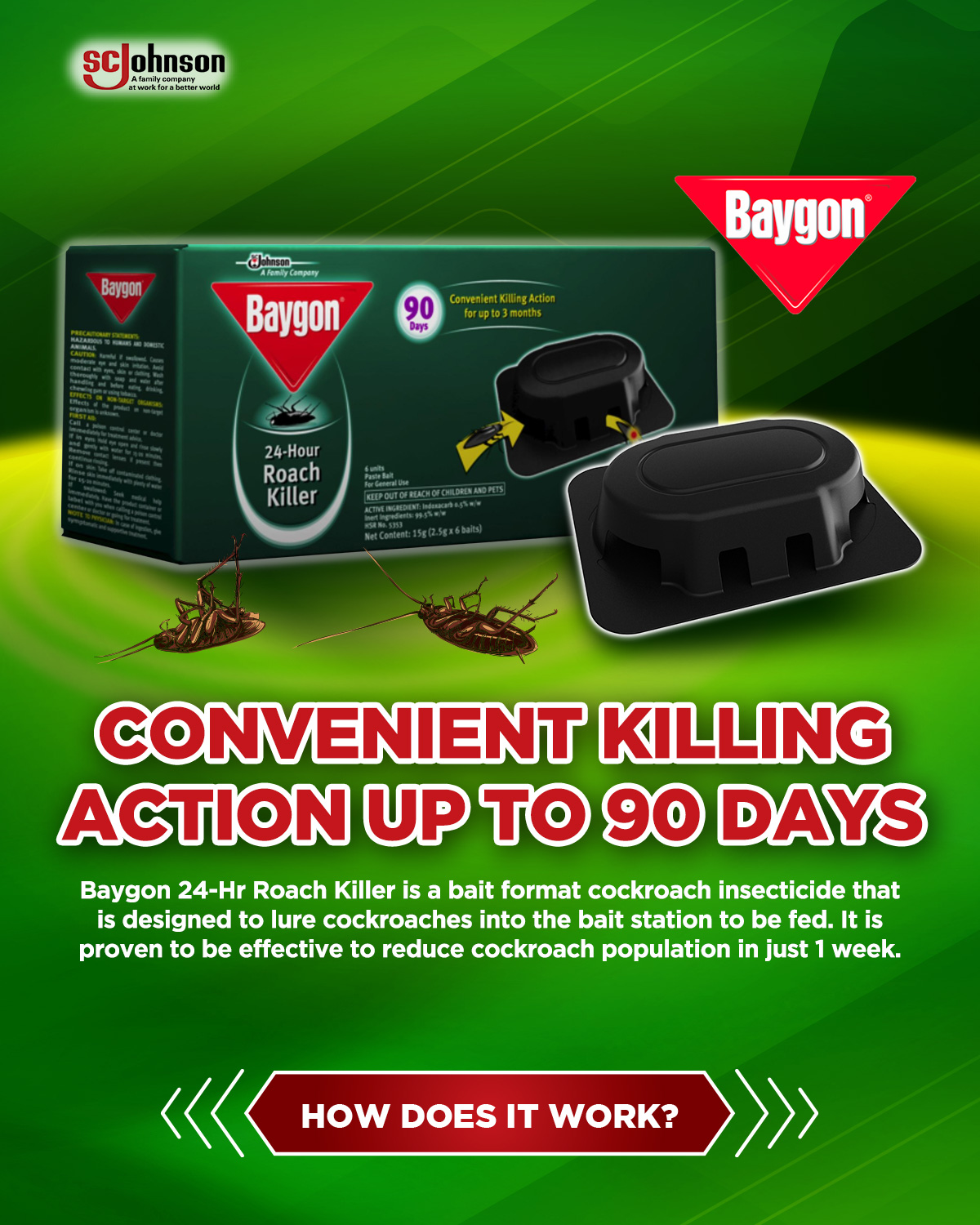 Baygon Multi Insect Killer Twin Pack & 24H Cockroach Bait Bundle ...