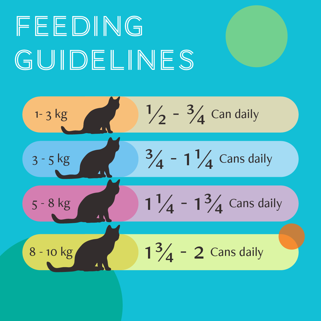 Daily Delight Pure Wet Cat food 80g | Meal Topper, Broth Meow Salmon ...