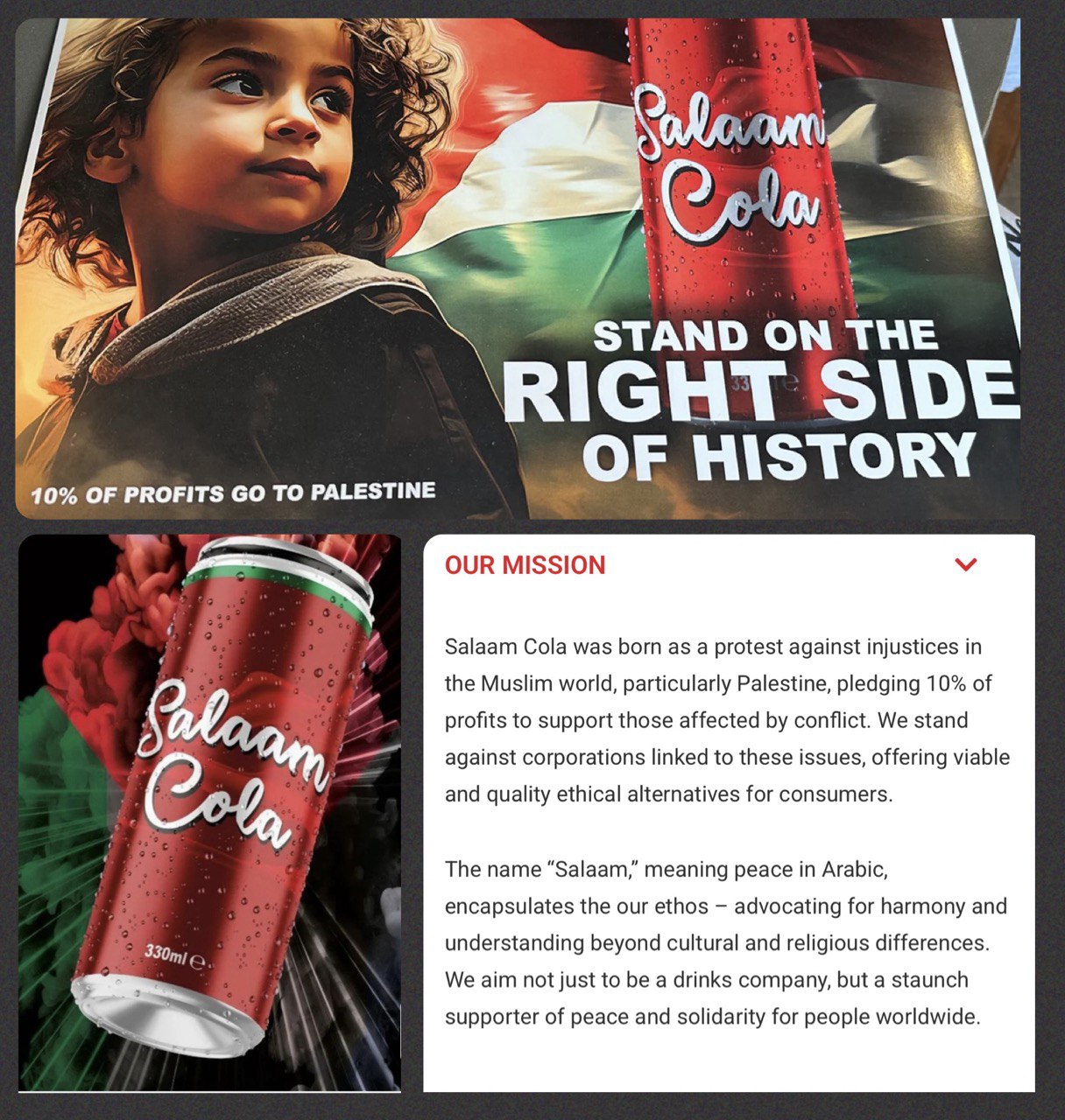 Salaam Cola Bulk Carton Coke Diet Zero Sugar Alternative Coca Cola Soda ...