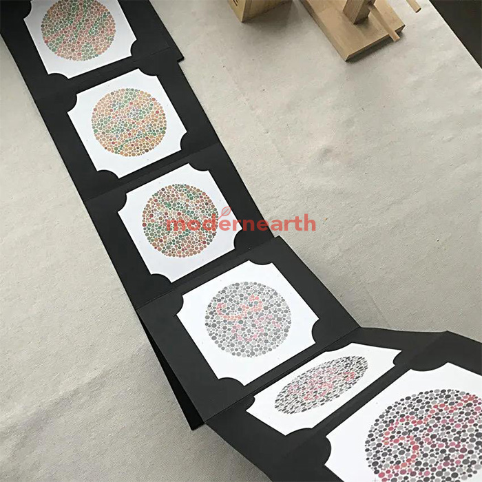 [SG Stock] Color Blind Test, 38-plate Visual Test, Color Deficiency ...