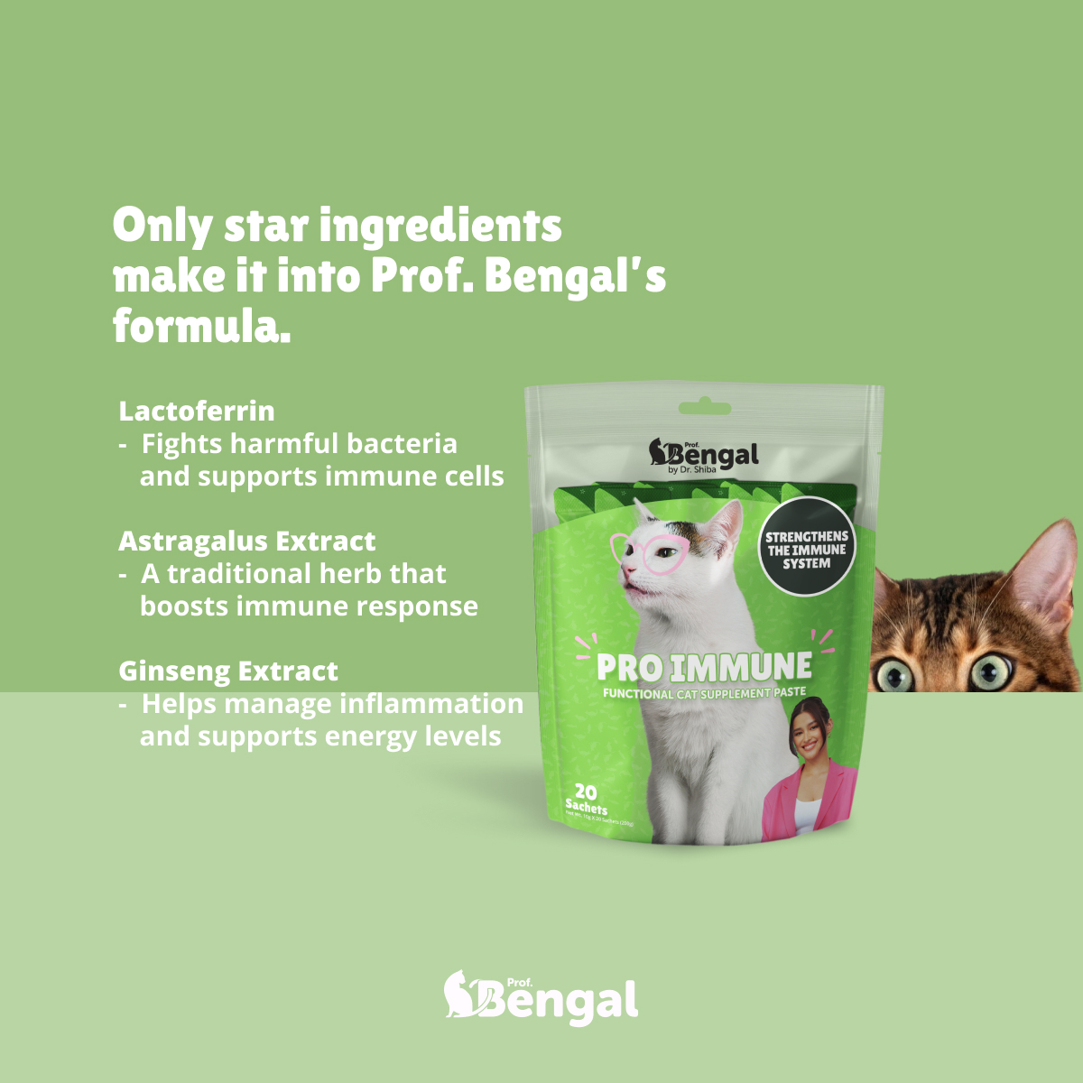 Prof Bengal Pro Immune Double Delight Functional Cat Treat Snack ...