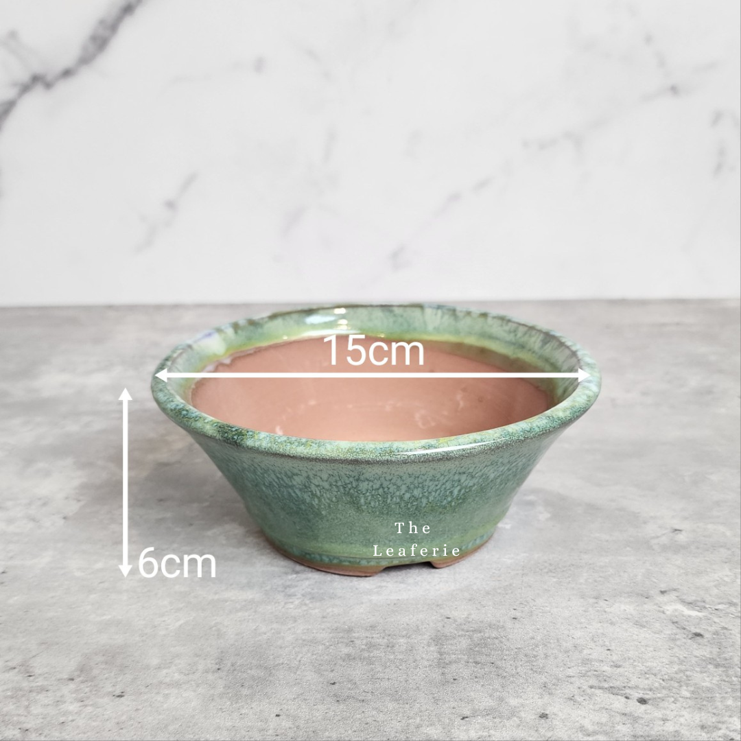 The Leaferie Bonsai Pot (Series 23) . Plant pot . Ceramic . Flowerpot ...