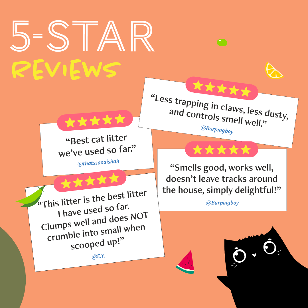 8.8 Daily Delight HAPPEA Cat Litter (8L x 6) | Pea Litter Dust Free ...