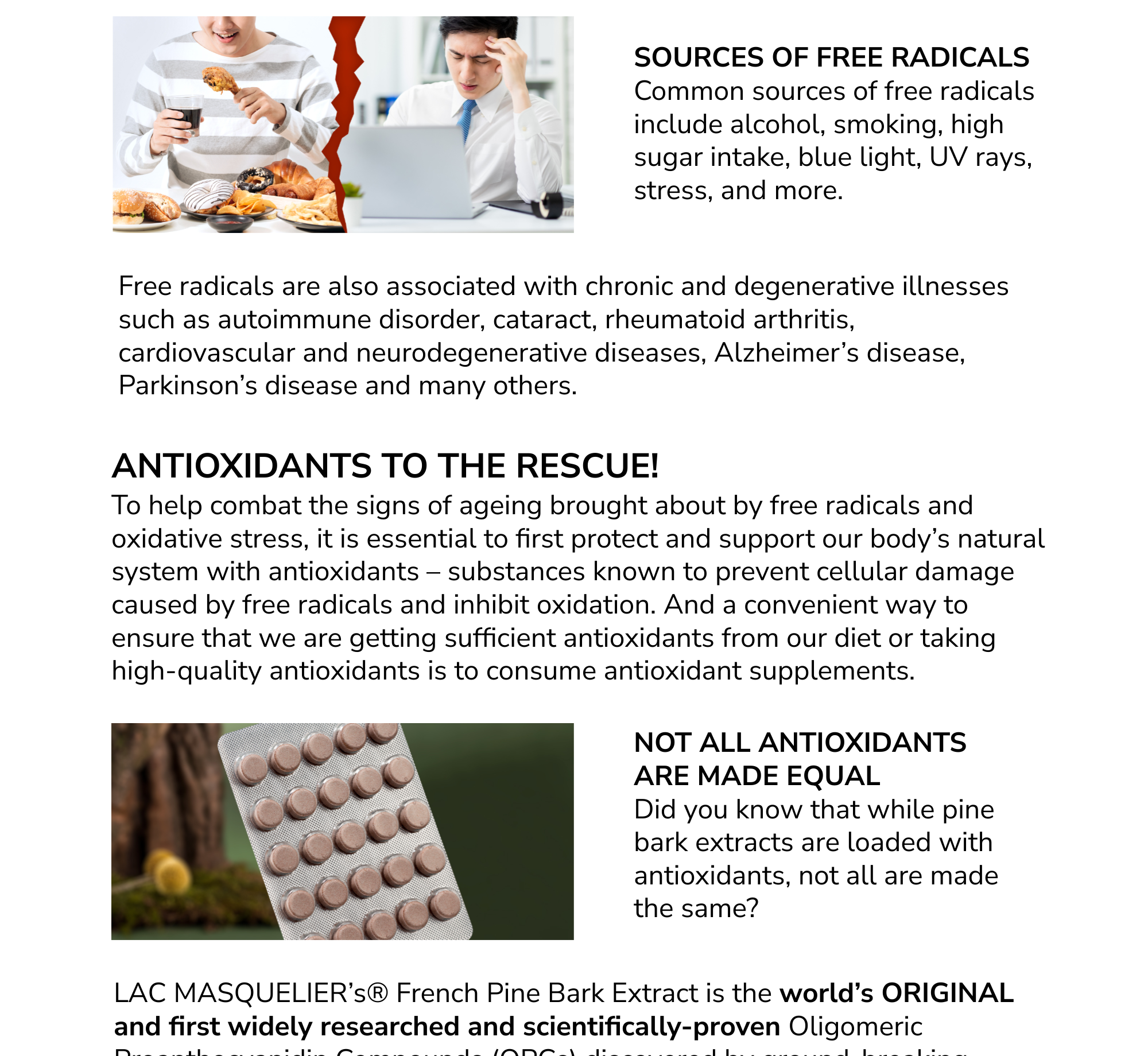 [LAC MASQUELIER'S] French Pine Bark Extract - The Powerful Antioxidant ...