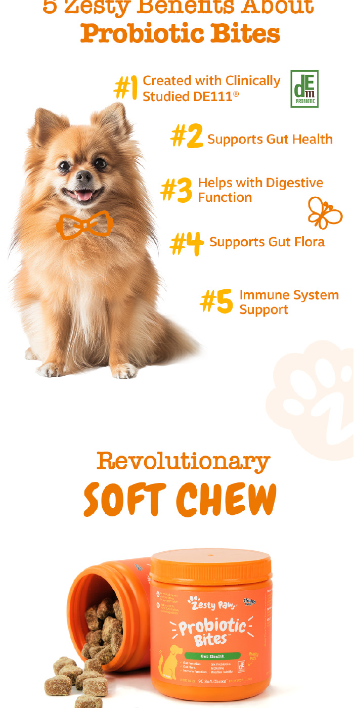 Zesty Paws Probiotics Bites (Gut Health) Dog Supplements, 90 Soft Chews ...