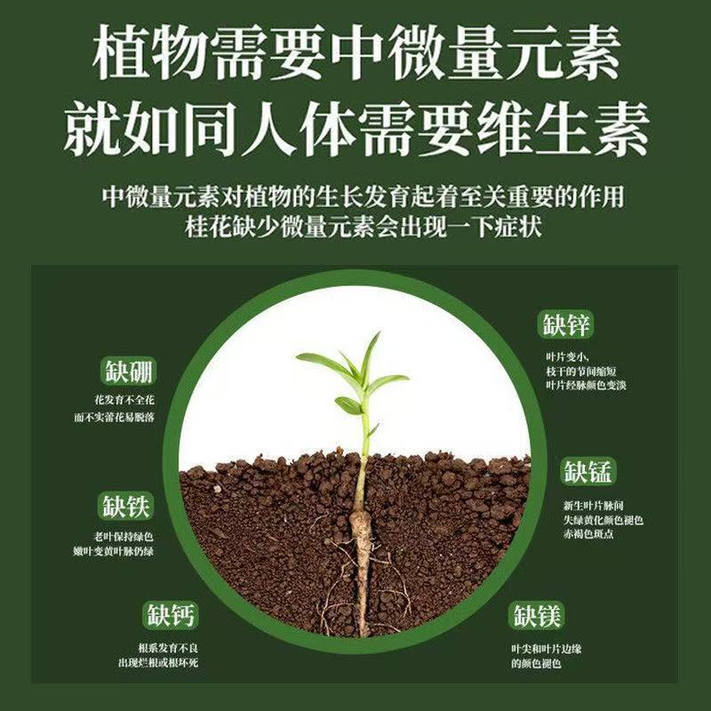 Plants & Flower Resurrection Solution || Universal Plant Quickly ...