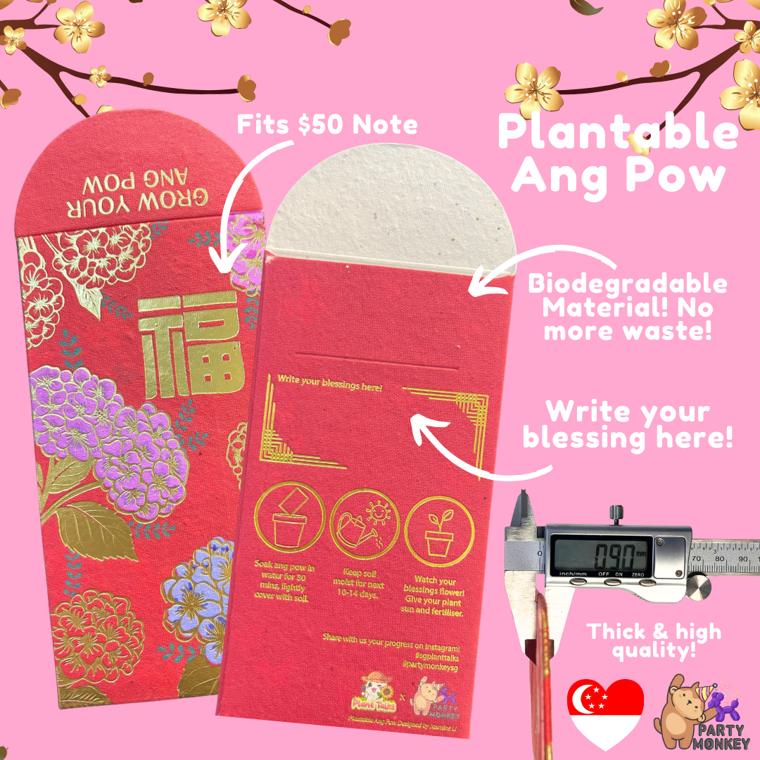 [SG SELLER] Plantable Chinese New Year Red Packet 2025 Ang Bao AngPow ...
