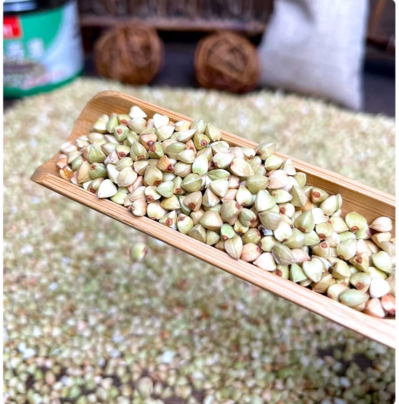 Parrot food/buckwheat seeds are precious feeds that contain protein ...